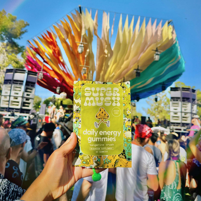 SuperMush - Daily Dose of Good Vibrations