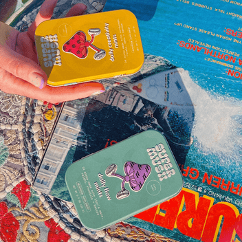 Daily Mushroom Mints Bundle | Flow, Focus & Creativity